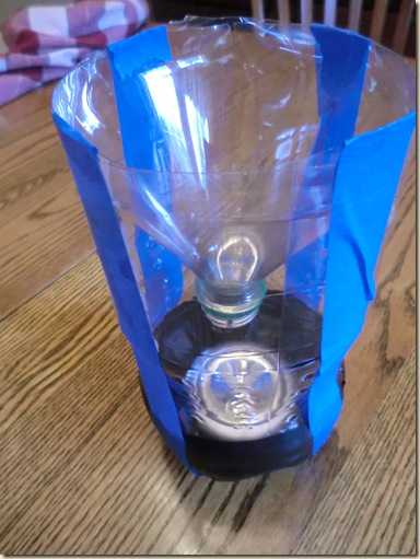 Cath's Pennies Designs: Decorating With Stink Bug Traps